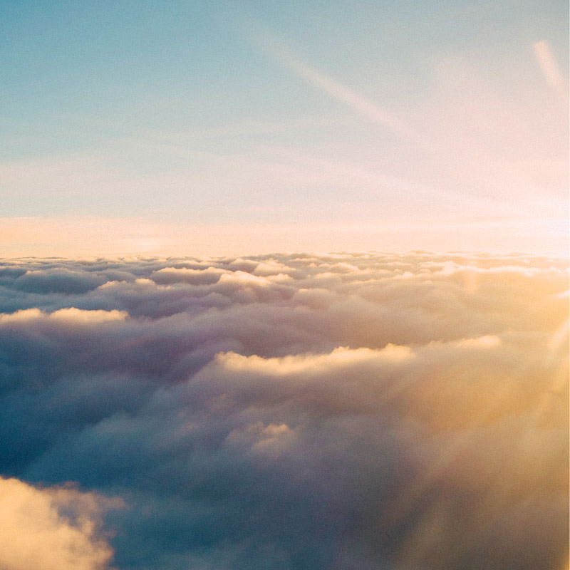 Harvard Alumni - Class of 1970